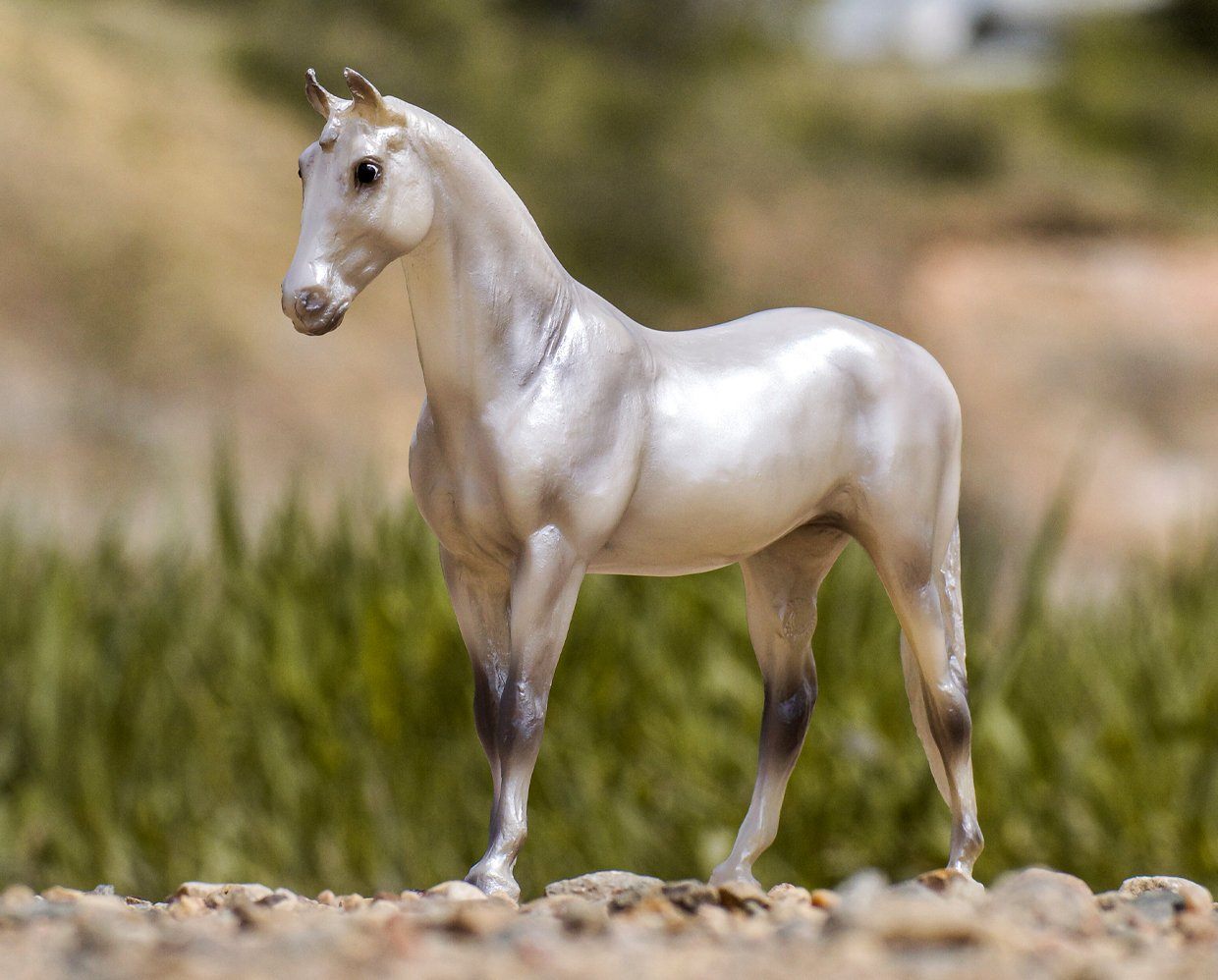 Trakehner 1:12 ⋆ Time Machine Hobby