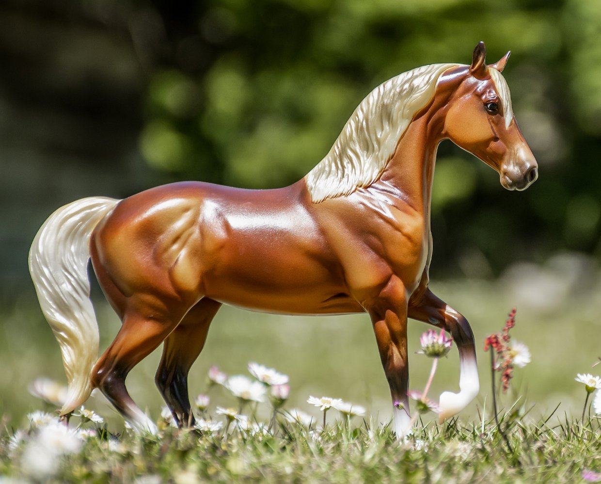 Silver Bay Horse