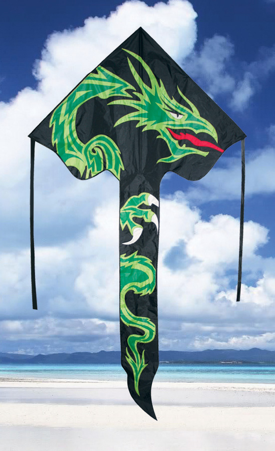 48" Dragon Best Flier ⋆ Time Machine Hobby