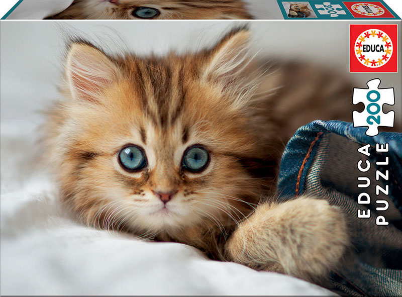 200pc Kitten ⋆ Time Machine Hobby