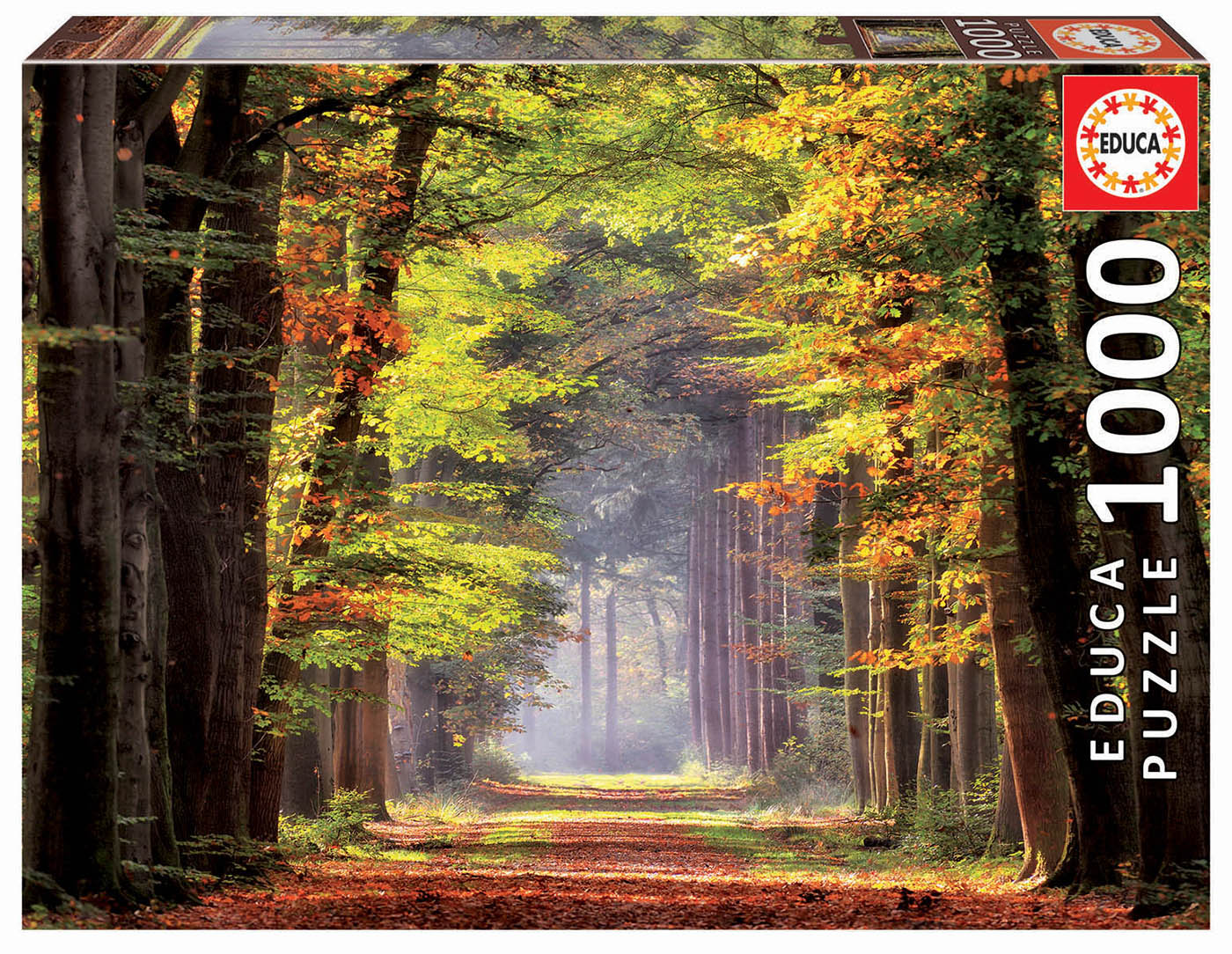 1000pc Fall Walkway ⋆ Time Machine Hobby