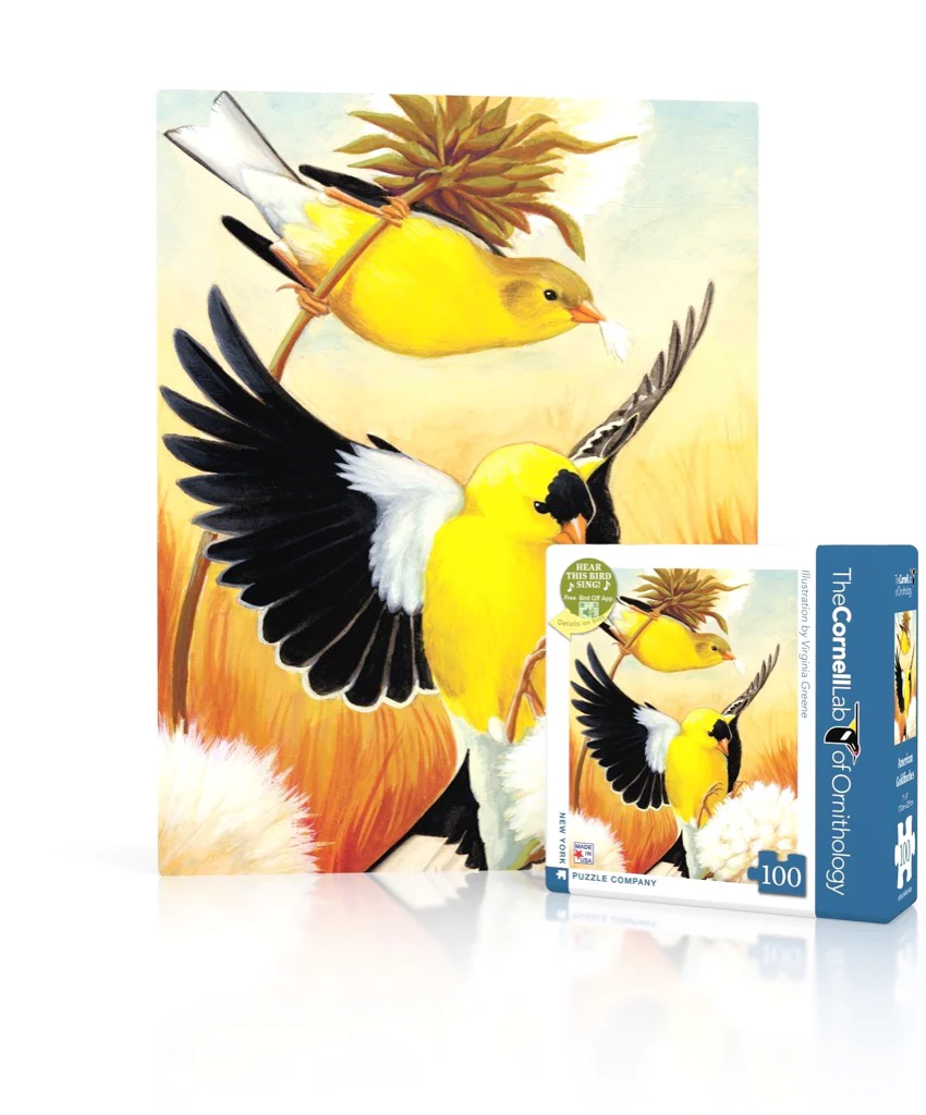 American Goldfinch Mini 100pc ⋆ Time Machine Hobby