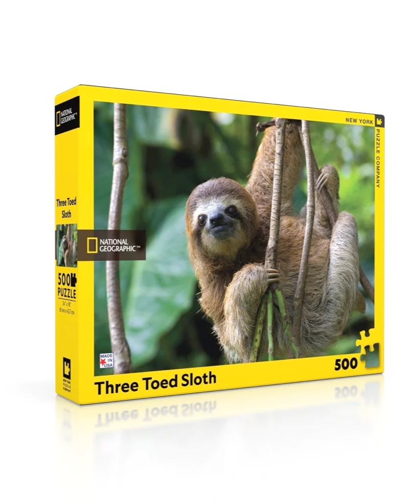 Three Toed Sloth 500pc ⋆ Time Machine Hobby