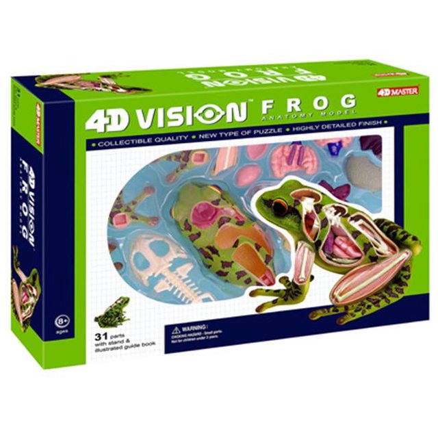 Frog Anatomy 4-D ⋆ Time Machine Hobby