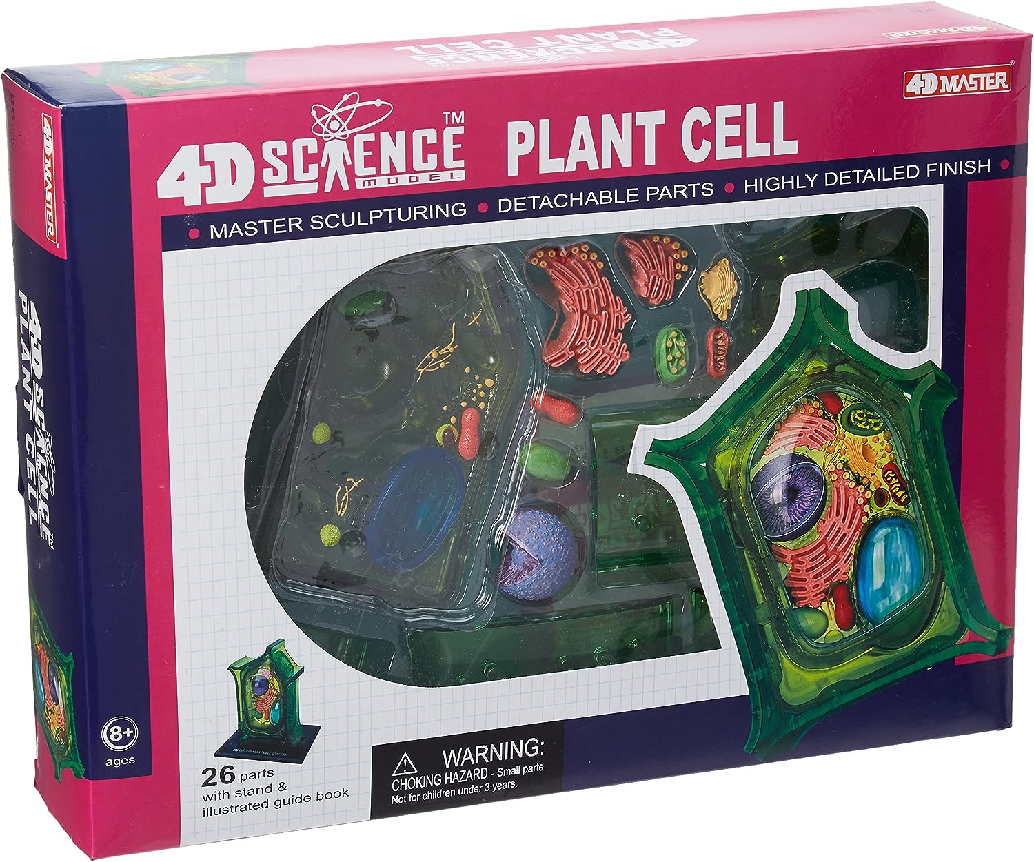 4D Vision Plant Cell ⋆ Time Machine Hobby