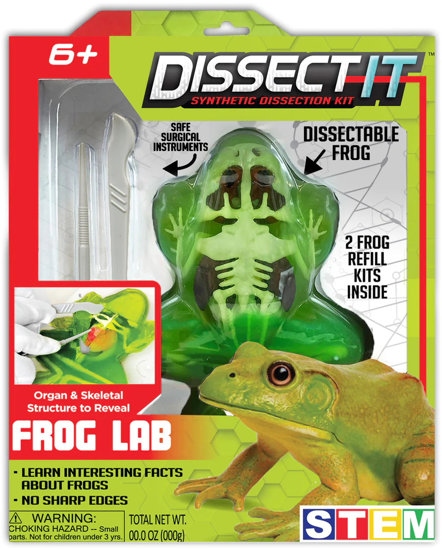 Dissect It - Frog Lab ⋆ Time Machine Hobby