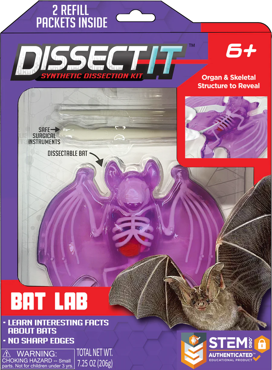 Dissect It - Bat Lab ⋆ Time Machine Hobby