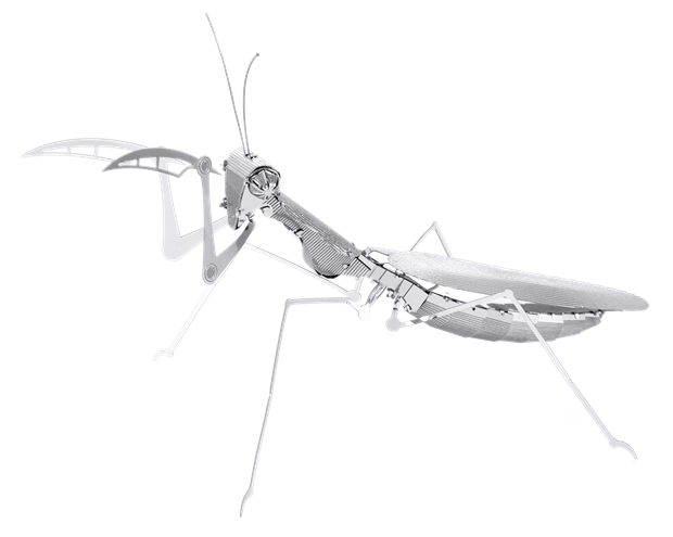 Praying Mantis ⋆ Time Machine Hobby