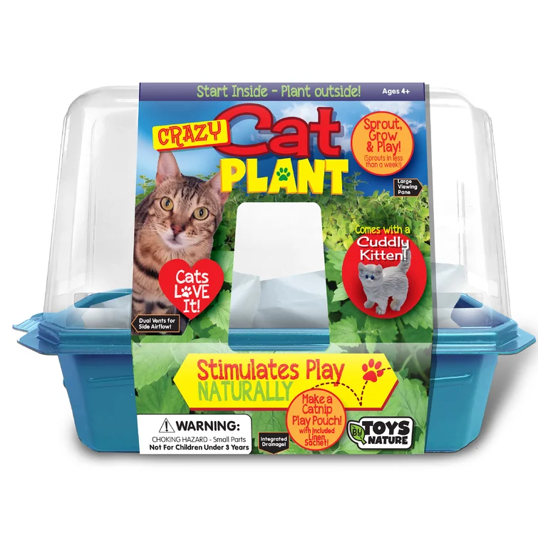 Crazy Cat Plant ⋆ Time Machine Hobby
