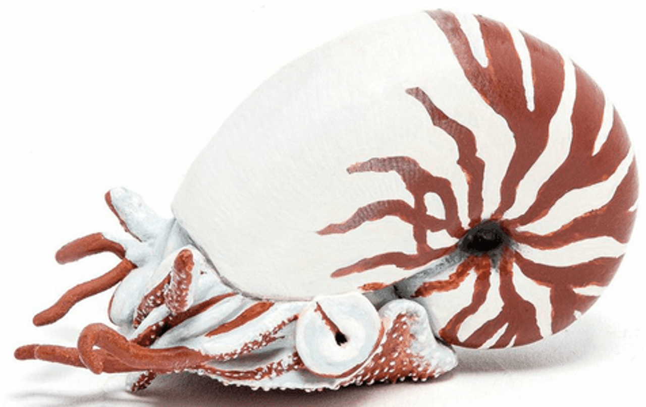 Papo Nautilus ⋆ Time Machine Hobby