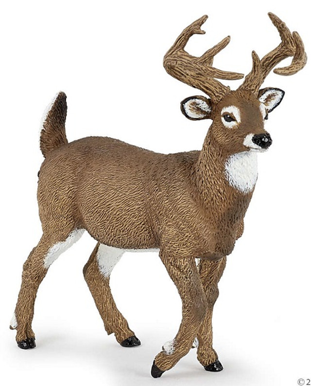 White-Tailed Deer ⋆ Time Machine Hobby